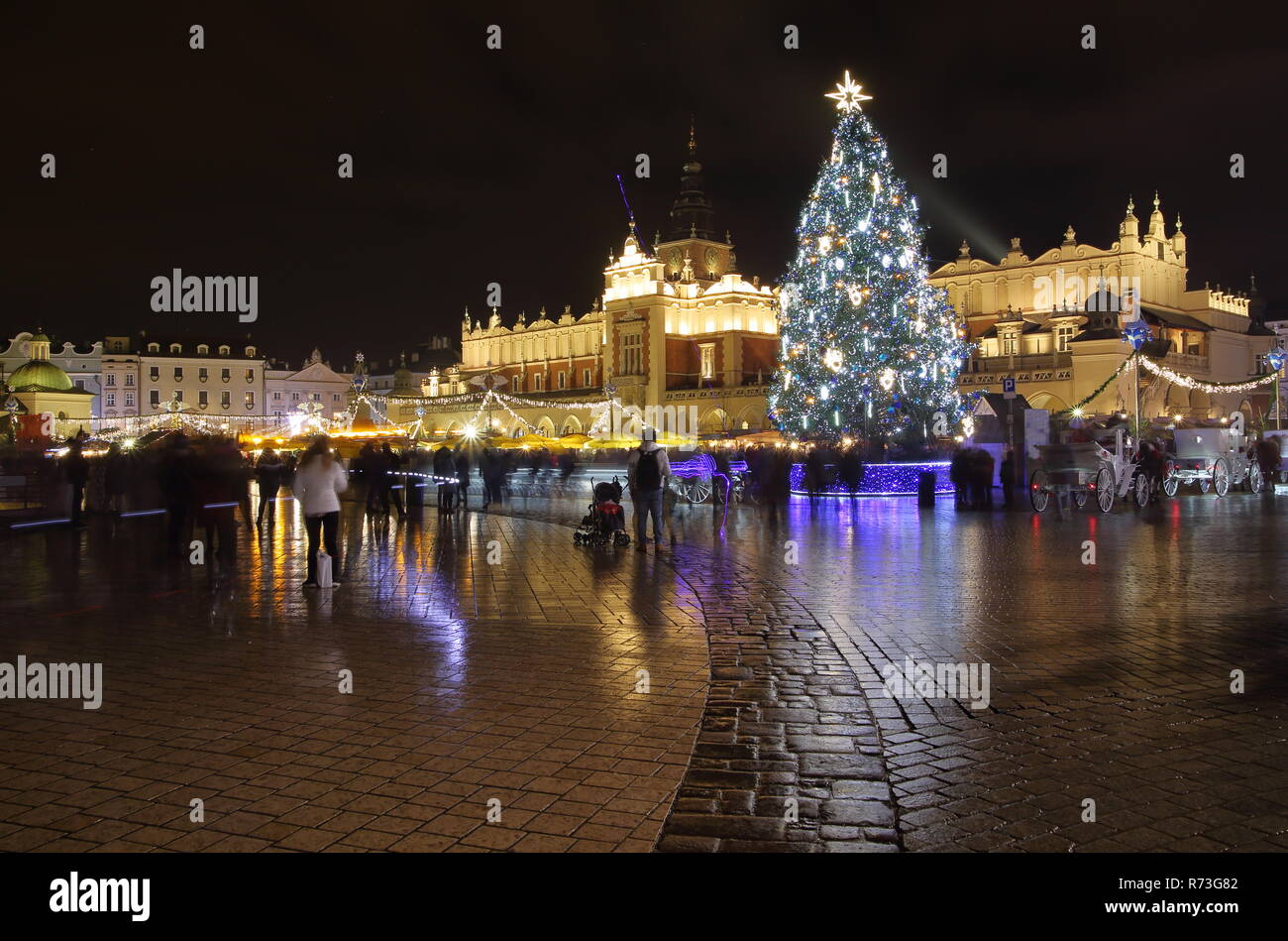 Polish tree hi-res stock photography and images - Alamy