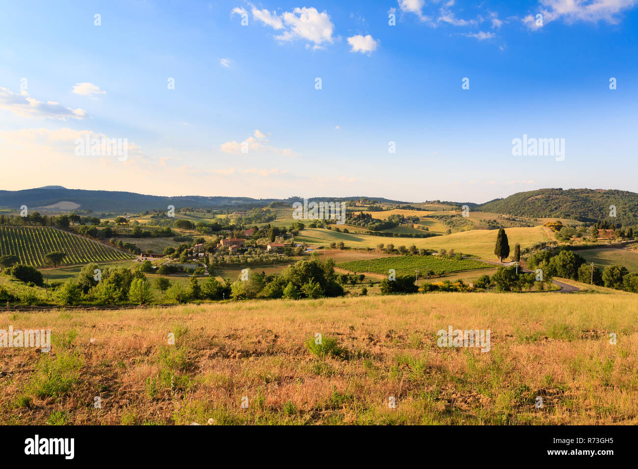 Tuscany hills landscape, Italy. Rural italian panorama Stock Photo - Alamy