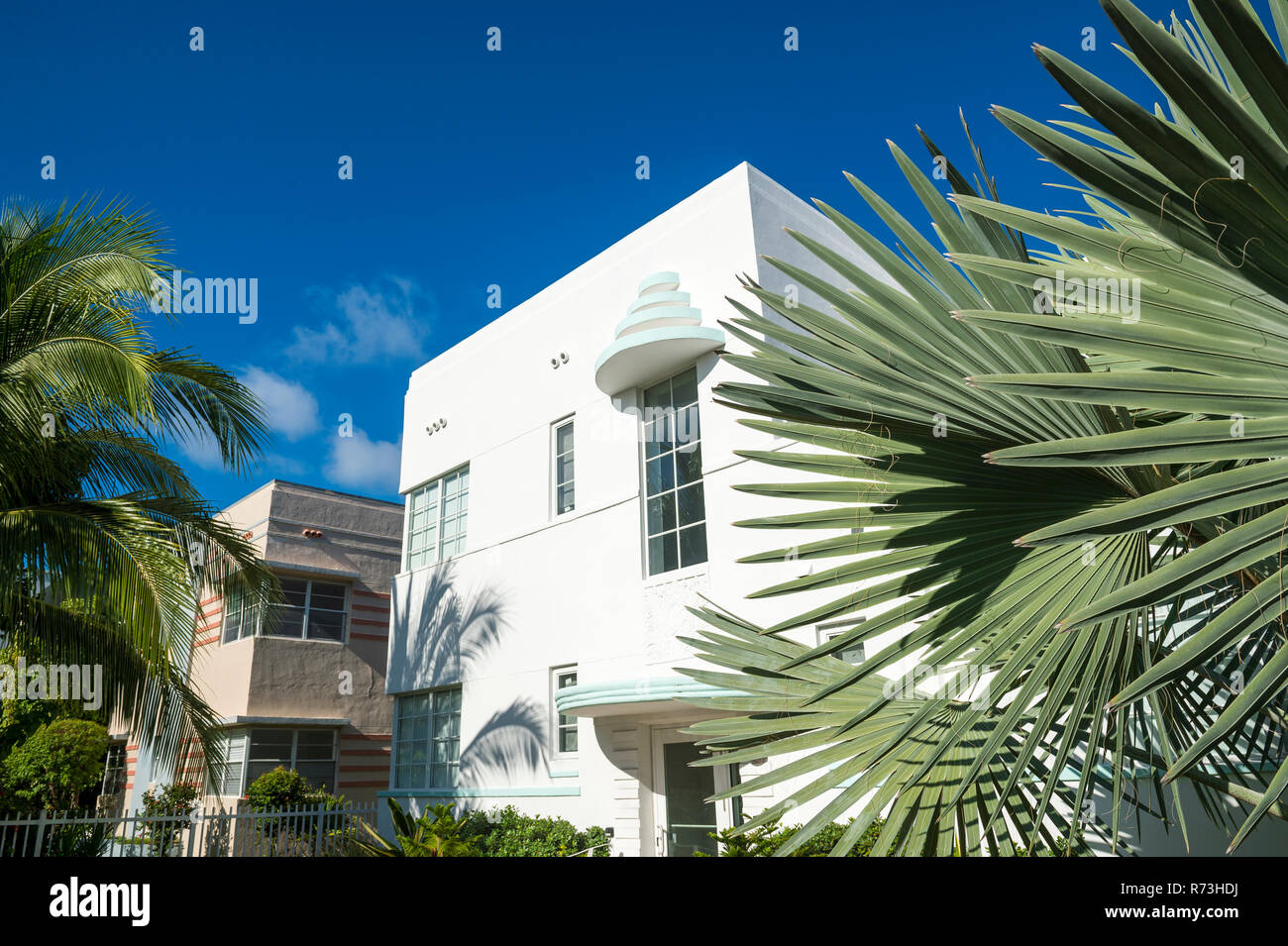 Tropical fan palm tree fronds decorate a courtyard in front of Art Deco ...