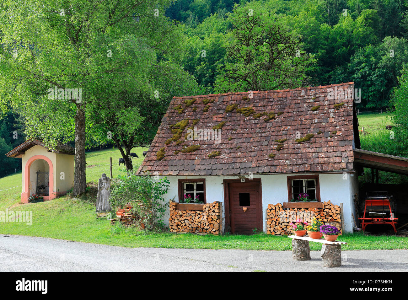 Fridingen an der donau hi-res stock photography and images - Alamy