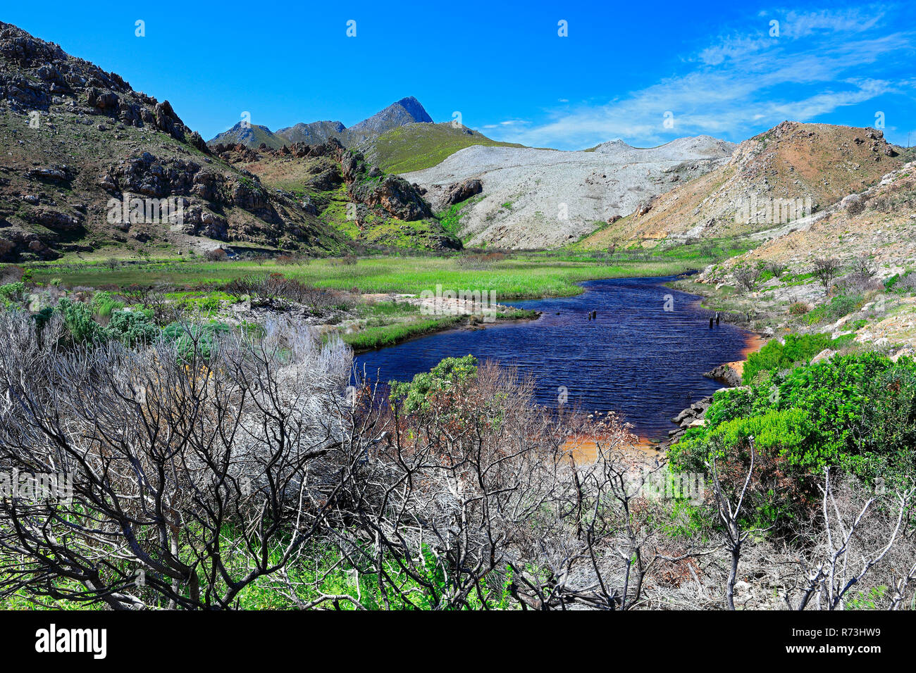 Rivers in the western cape hi-res stock photography and images - Alamy
