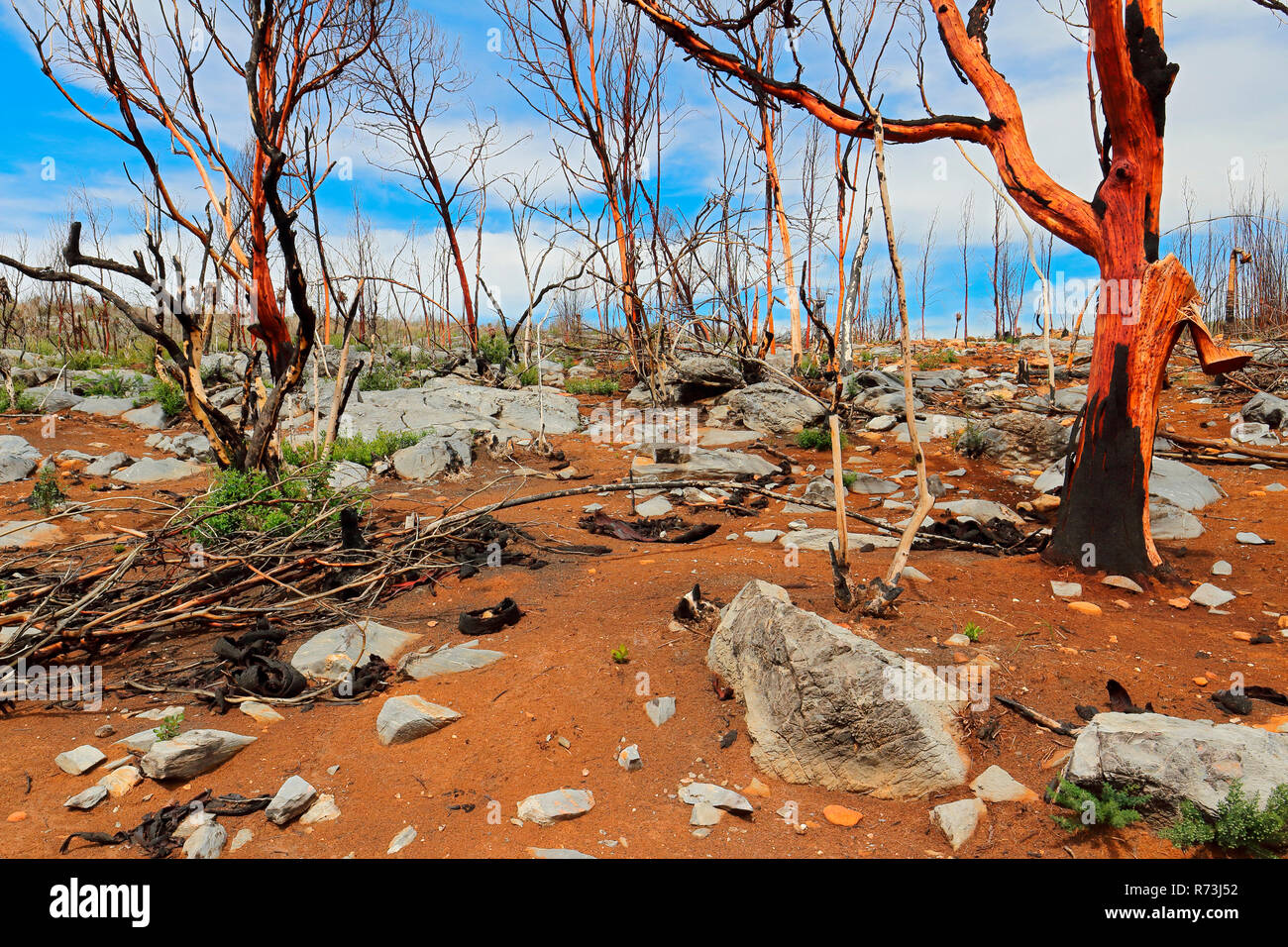 South africa landscapes hi-res stock photography and images - Alamy