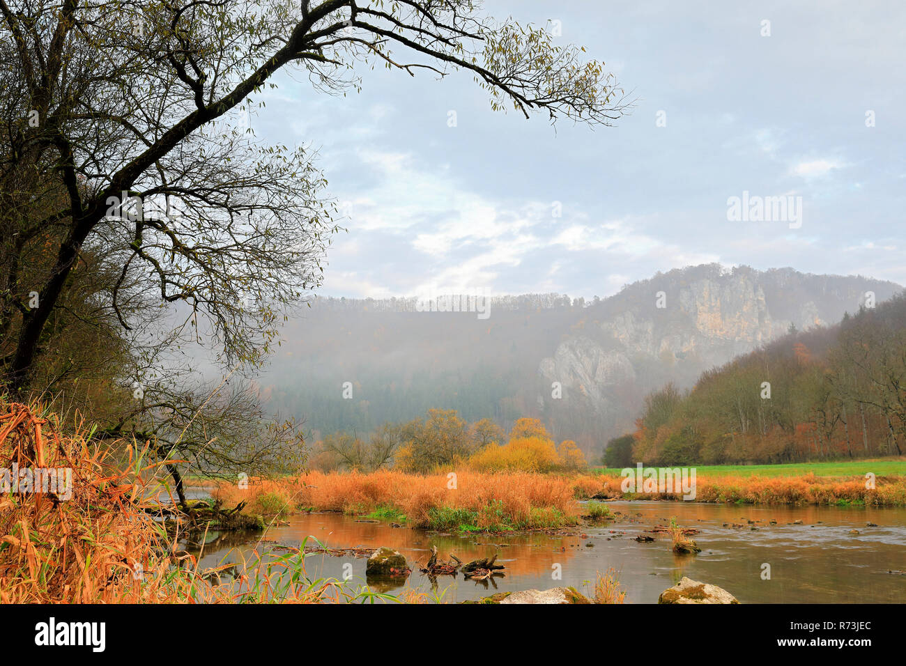 Danube, Danube Valley, Burg Wildenstein, nature park Upper Danube ...