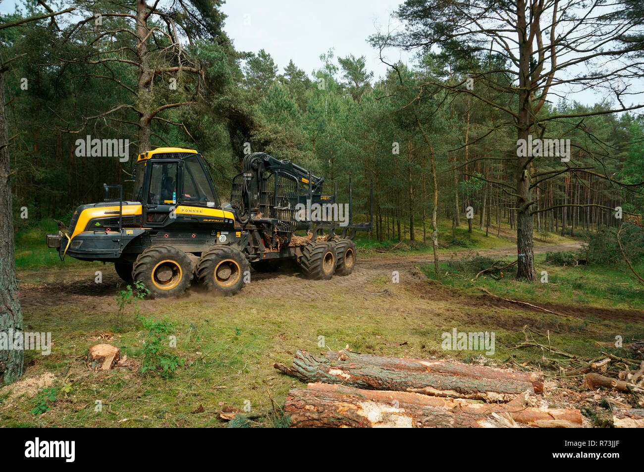 Forestry forwarder hi-res stock photography and images - Alamy