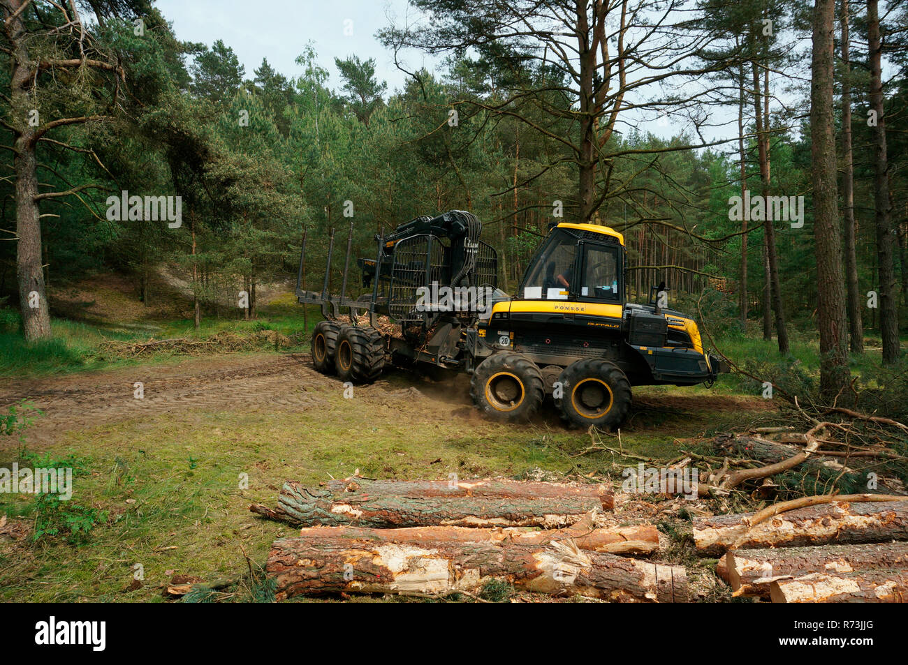Forestry forwarder hi-res stock photography and images - Alamy
