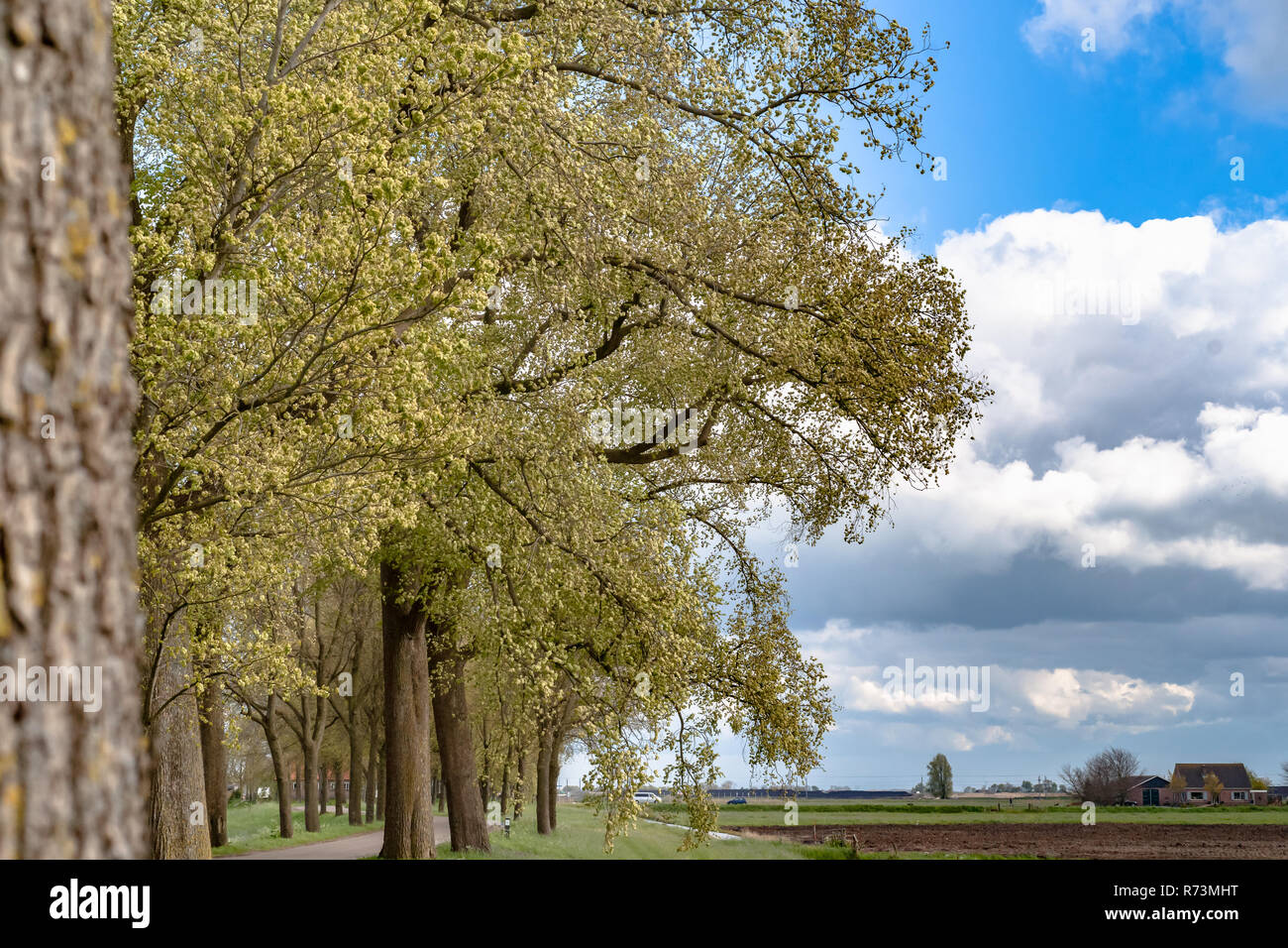 Old Dutch Sea Dike near Kampen Hanseatic City. View of the polders and ...