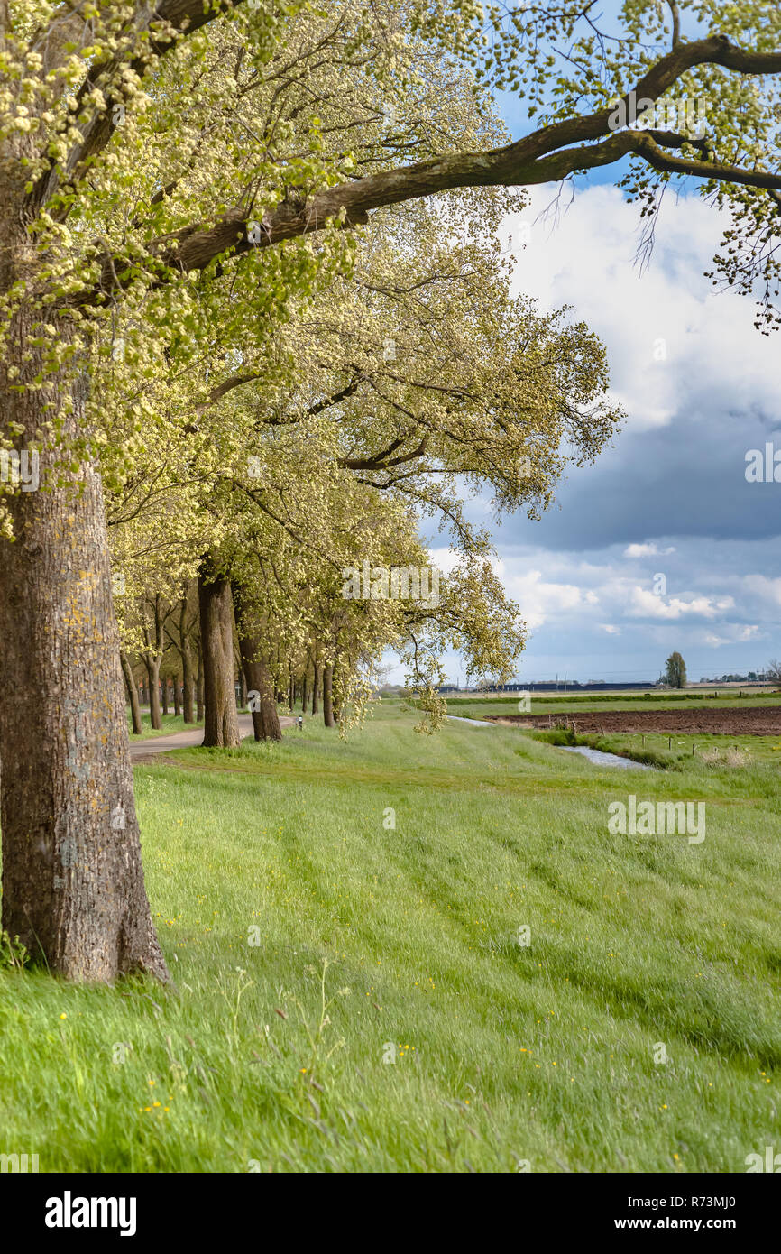 Old Dutch Sea Dike near Kampen Hanseatic City. View of the polders and ...