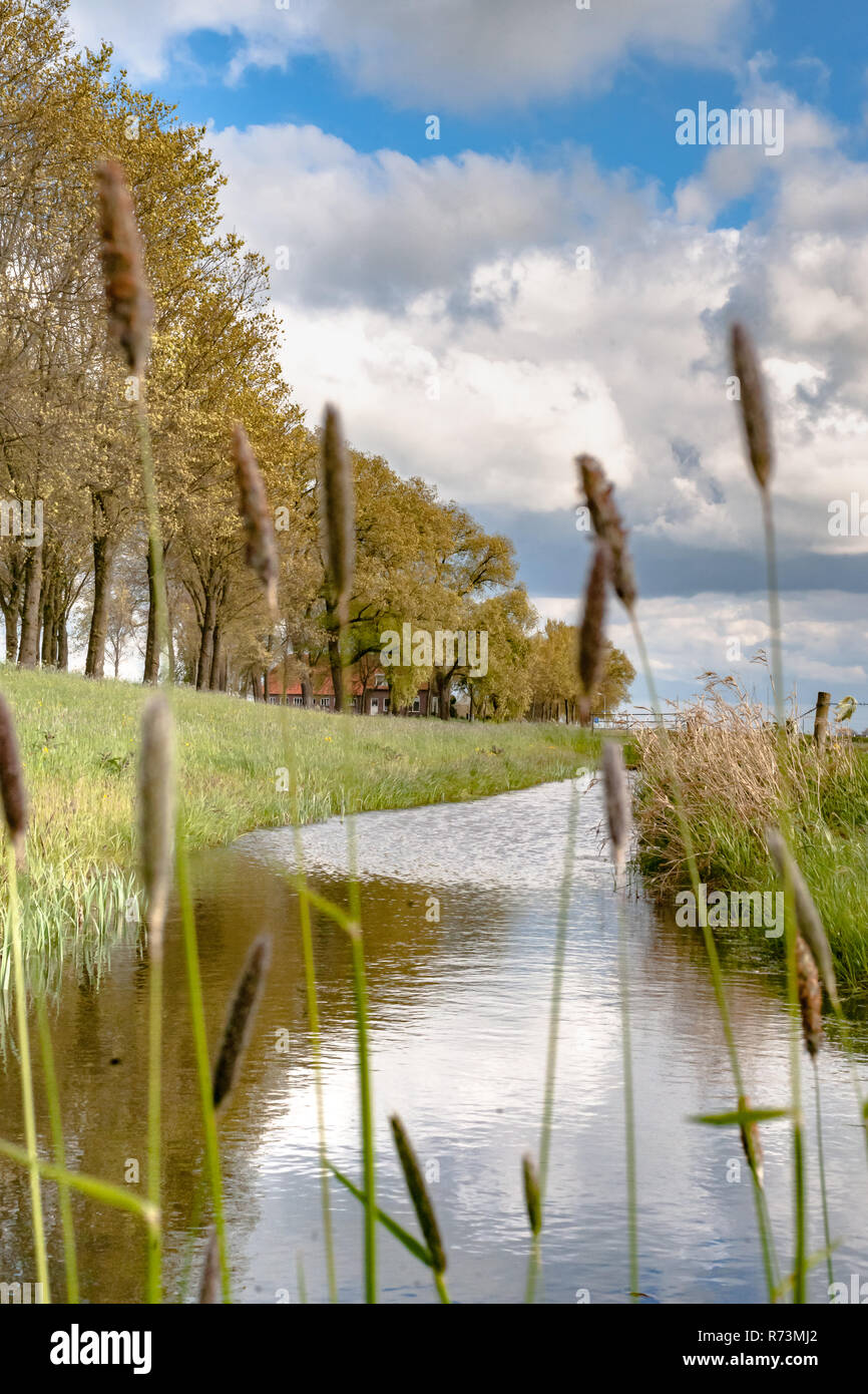 Old Dutch Sea Dike near Kampen Hanseatic City. View of the polders and ...