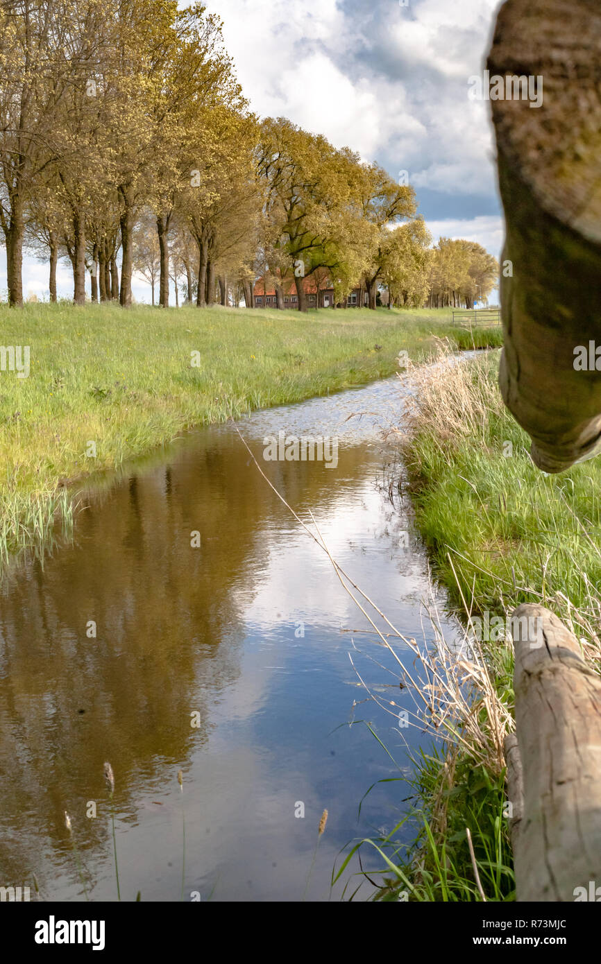 Typical Polder And Water Land High Resolution Stock Photography and ...