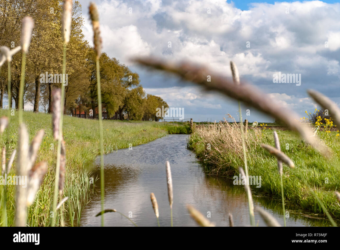 Old Dutch Sea Dike near Kampen Hanseatic City. View of the polders and ...