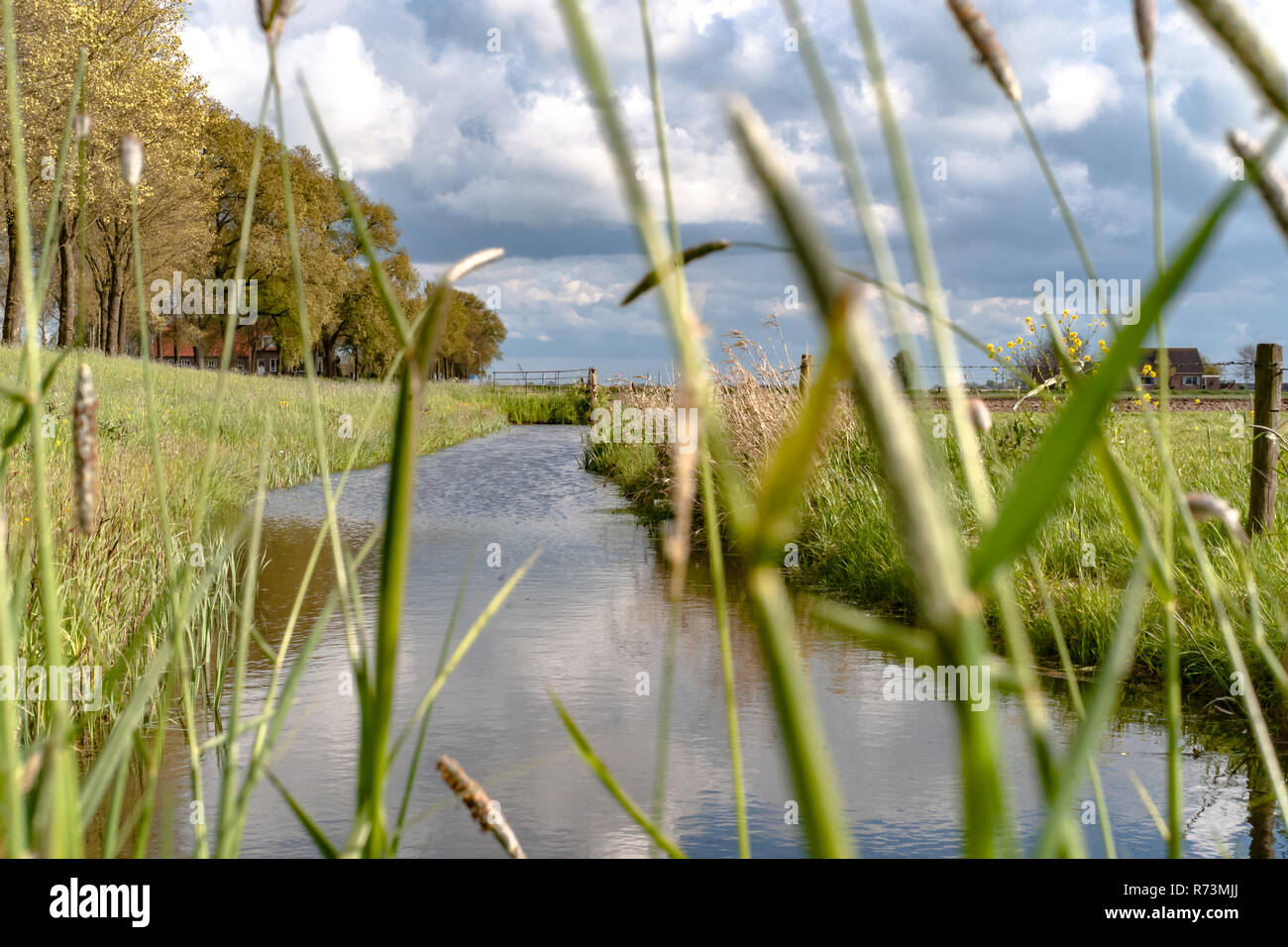 Old Dutch Sea Dike near Kampen Hanseatic City. View of the polders and ...