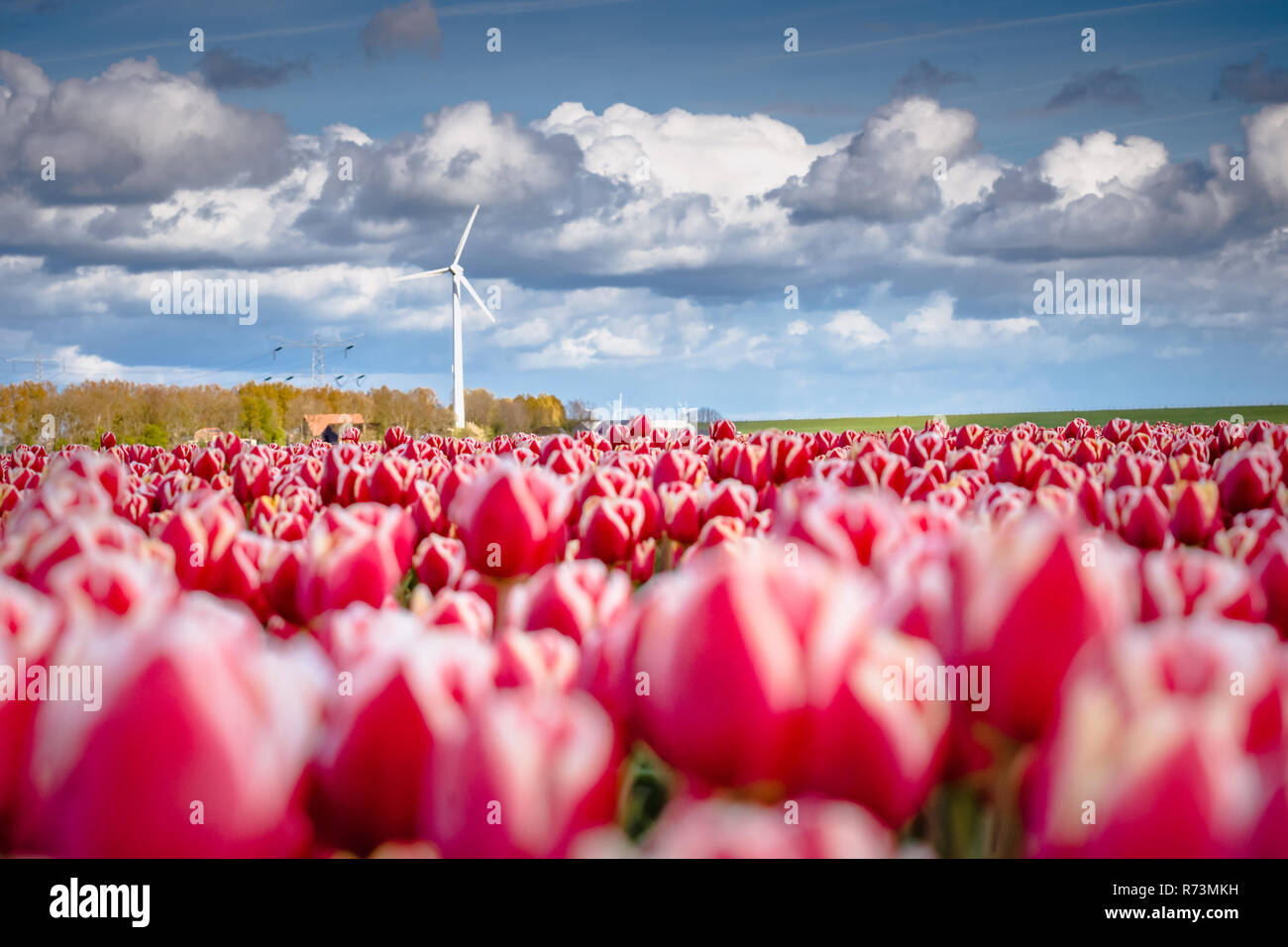 Horticulture arable crops different hi-res stock photography and images ...