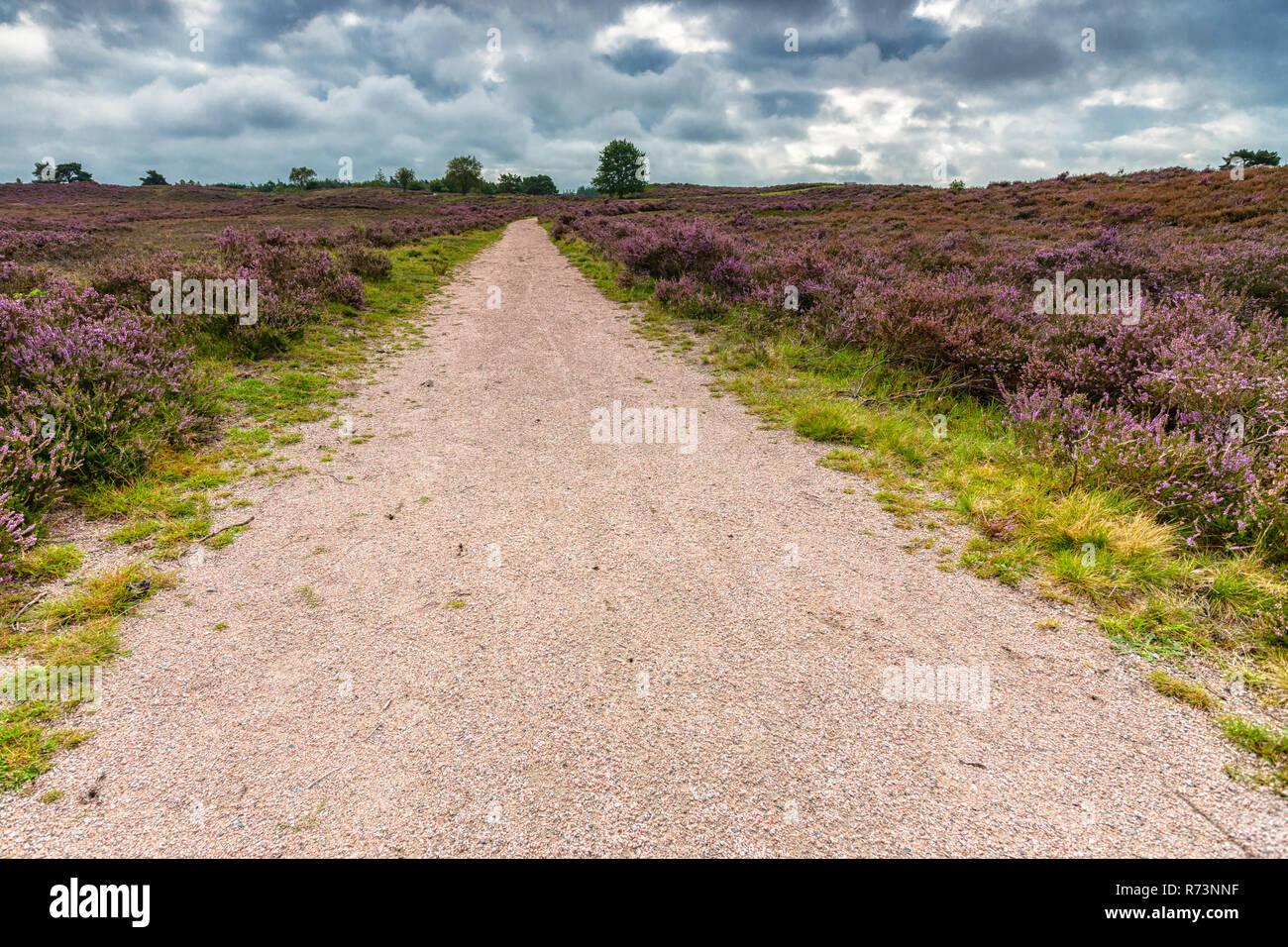 Renderklippen hi-res stock photography and images - Alamy