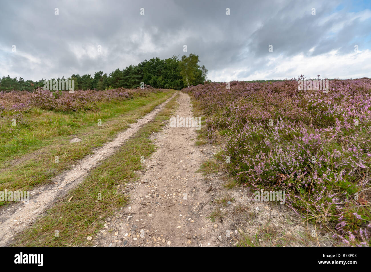 Thriving vegetation hi-res stock photography and images - Alamy