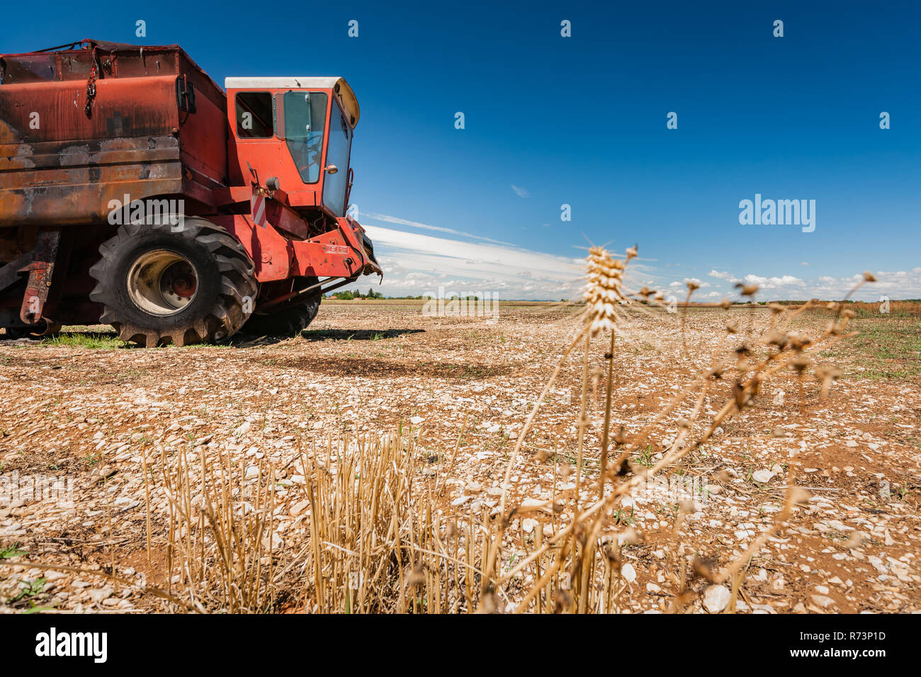 Old burned agriculture combines in a flattened grainfield under a blue ...