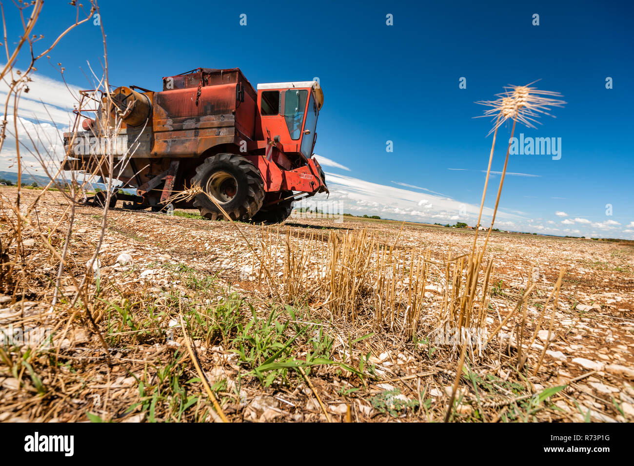 Old burned agriculture combines in a flattened grainfield under a blue ...