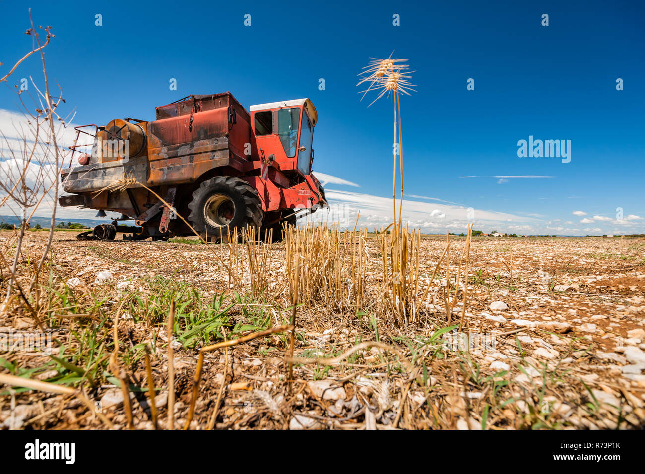 Old burned agriculture combines in a flattened grainfield under a blue ...