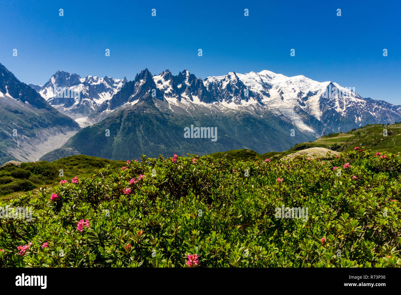 Alps in June. View of the Mont Blanc massif Stock Photo - Alamy