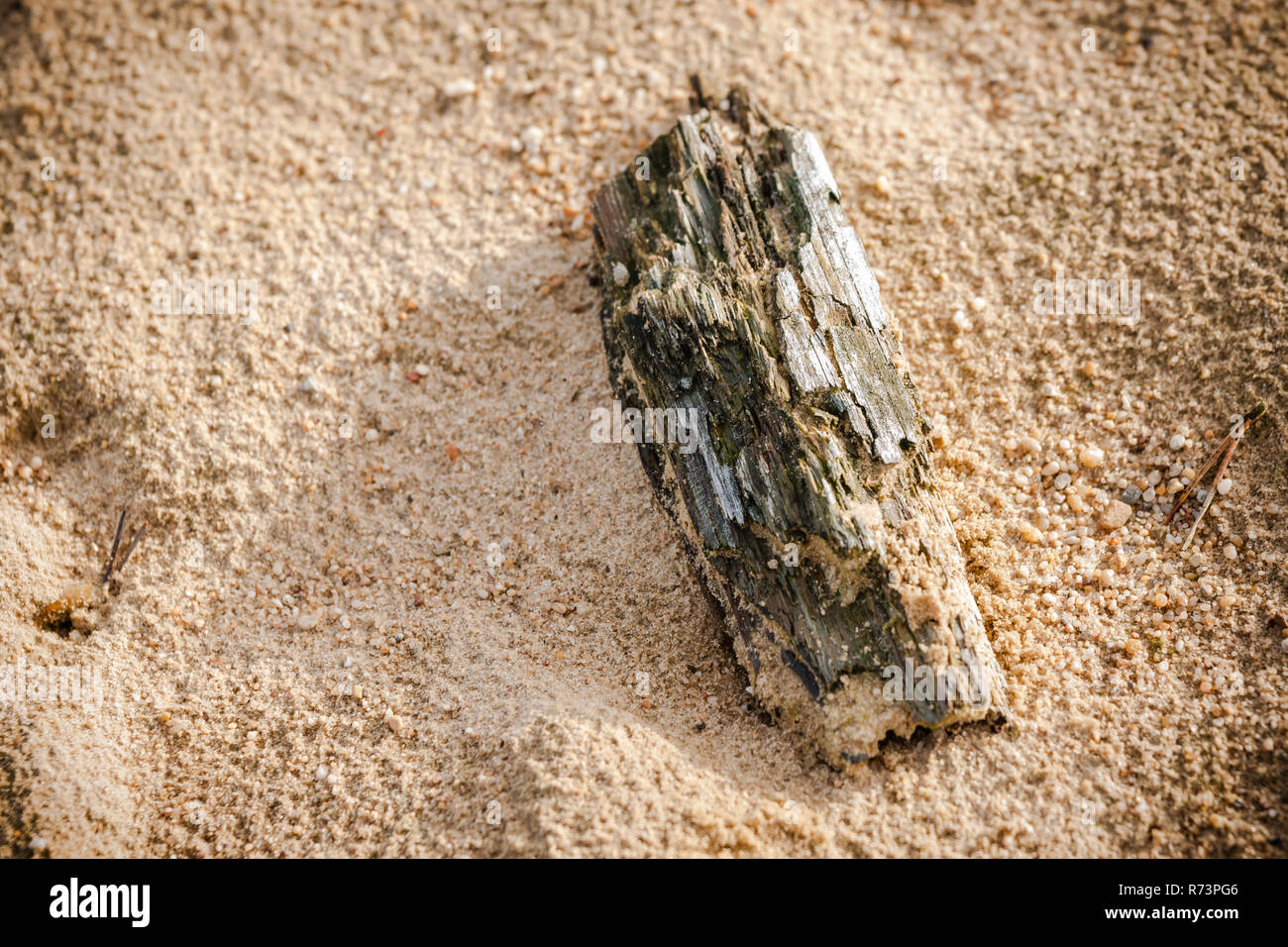 Wizened hi-res stock photography and images - Alamy
