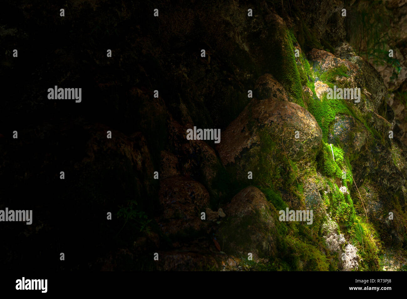 Mysterious light on rock wall with ground moss and water drops along ...