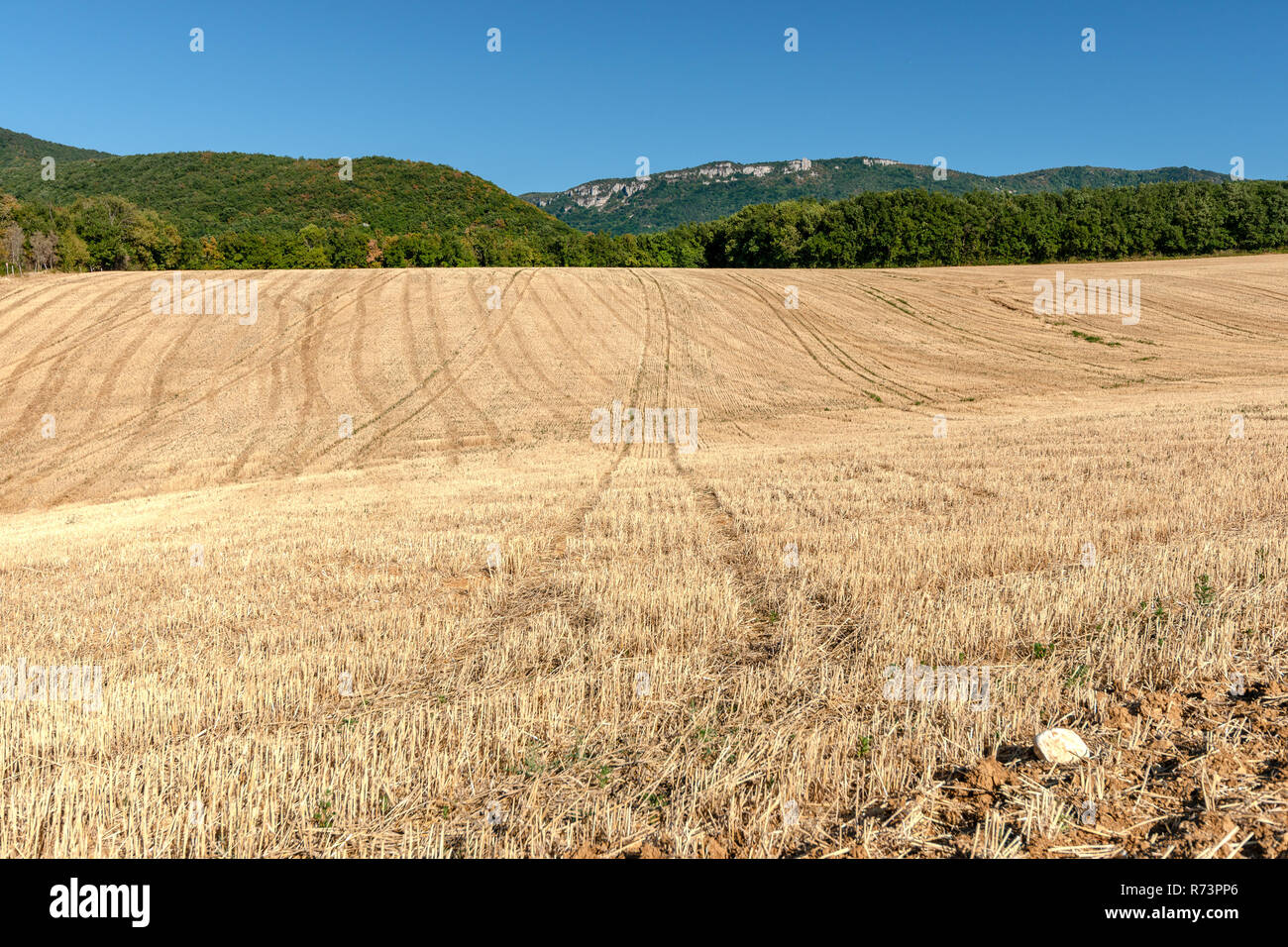 Plant trials field hi-res stock photography and images - Alamy