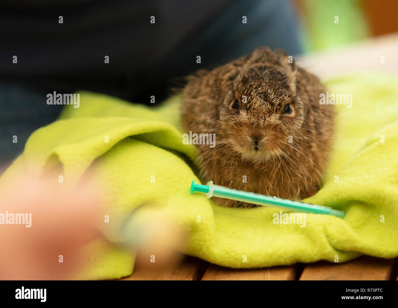 Child being feed aid hi-res stock photography and images - Alamy
