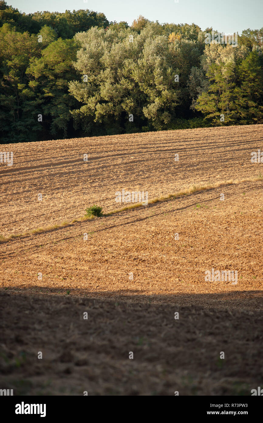 Sloping acres with mountain views in the department of dreams near the ...
