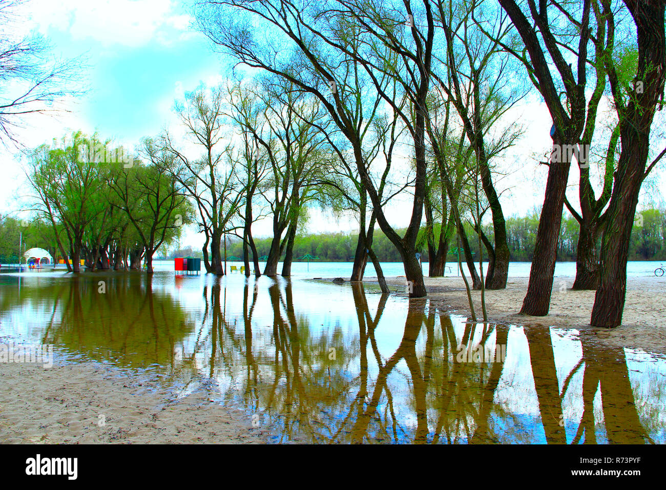 Flooding in public park in spring. Flooded trees in spring park. Trees ...