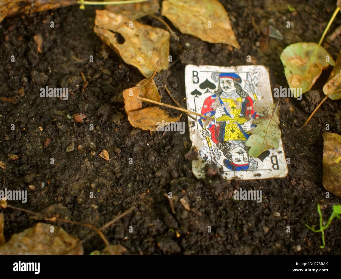 Blank Card On Ground High Resolution Stock Photography and Images - Alamy