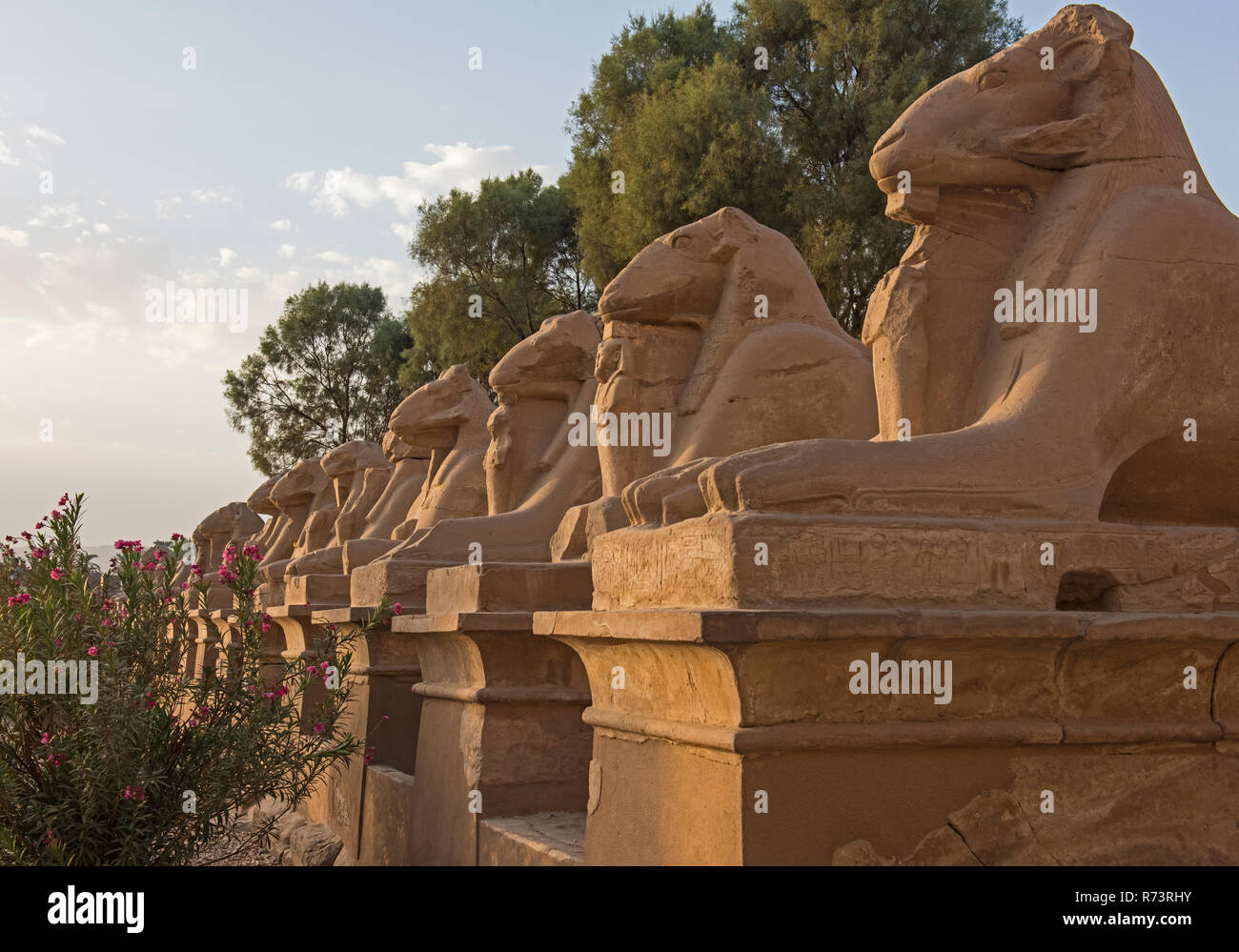 Goat headed sphinx hi-res stock photography and images - Alamy
