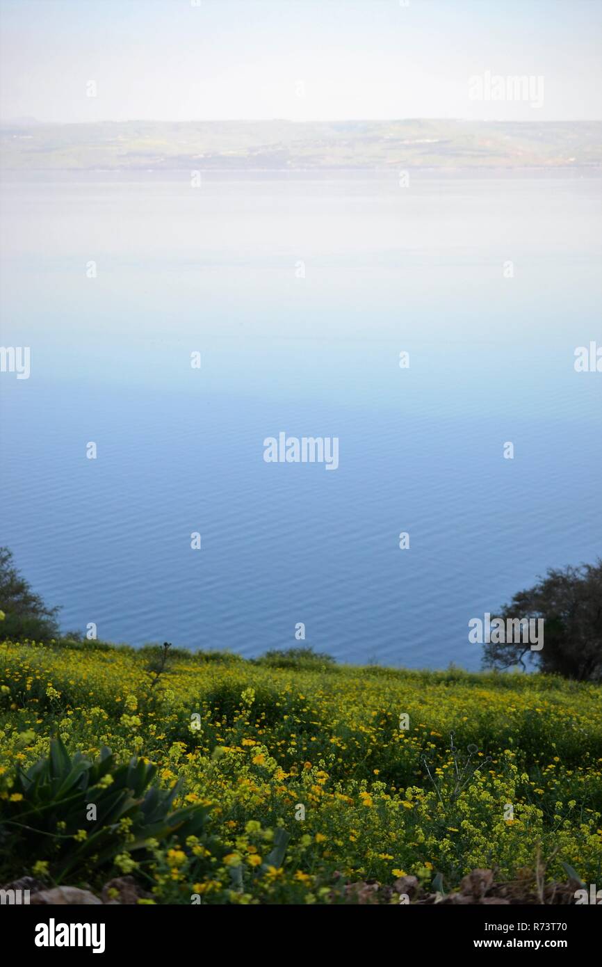 Aerial view of the sea of galilee hi-res stock photography and images ...
