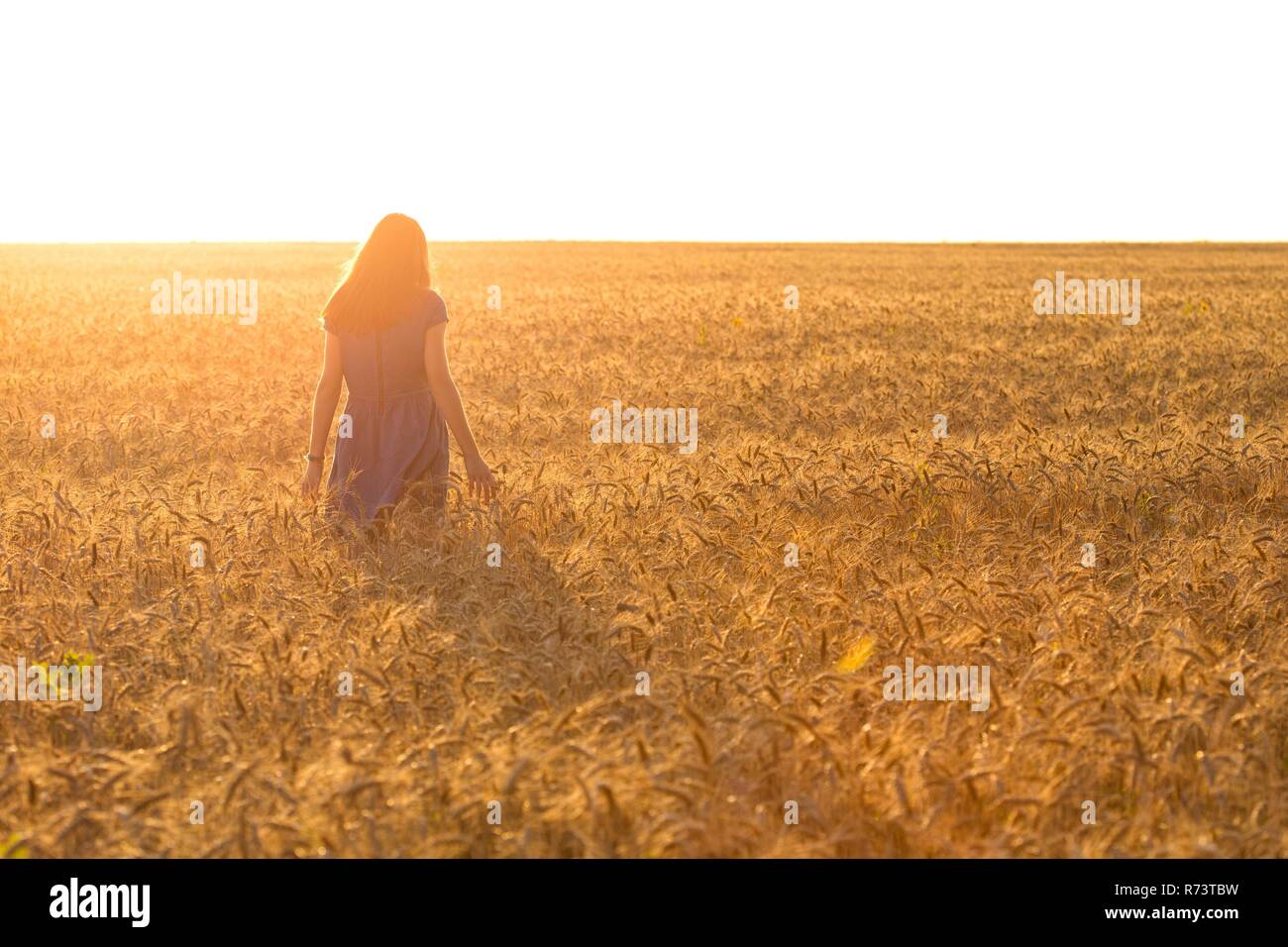 girl at the wheat field in sunset time Stock Photo - Alamy