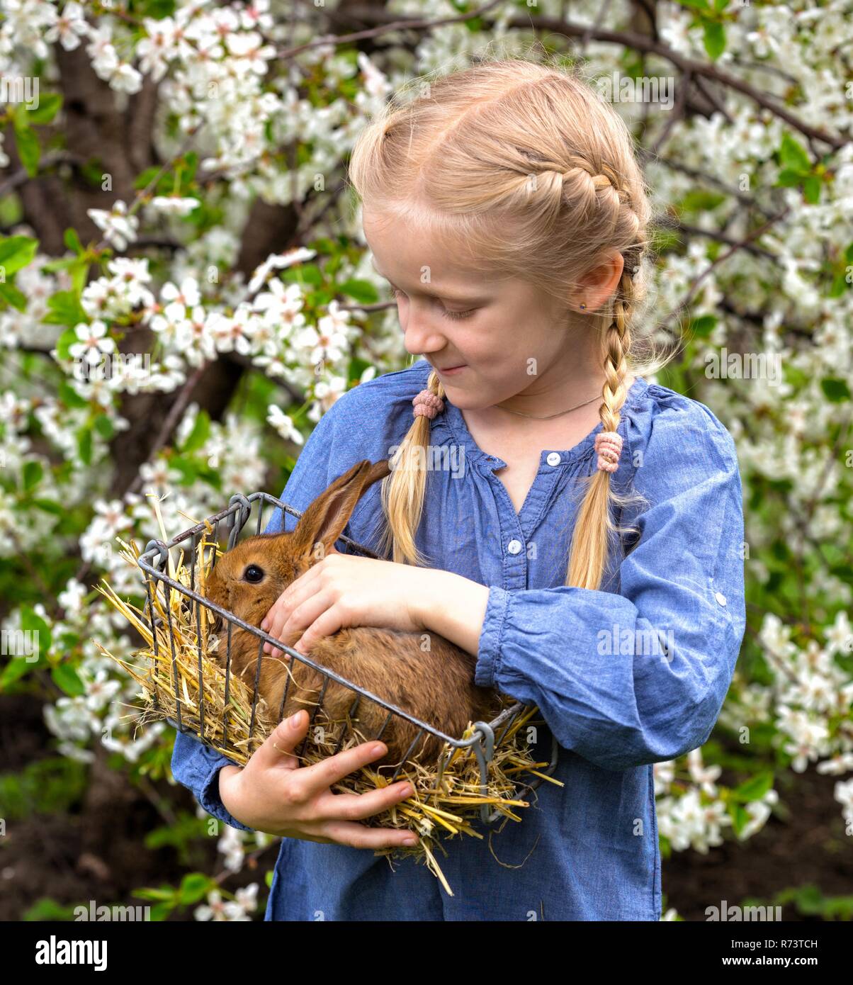 little girl with a rabbit in the garden, spring Stock Photo - Alamy