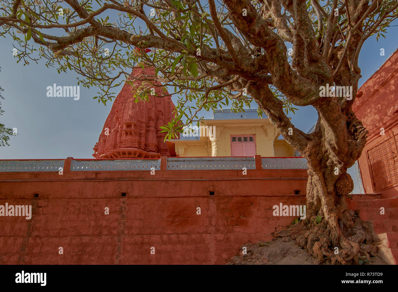 Kalika mata hi-res stock photography and images - Alamy