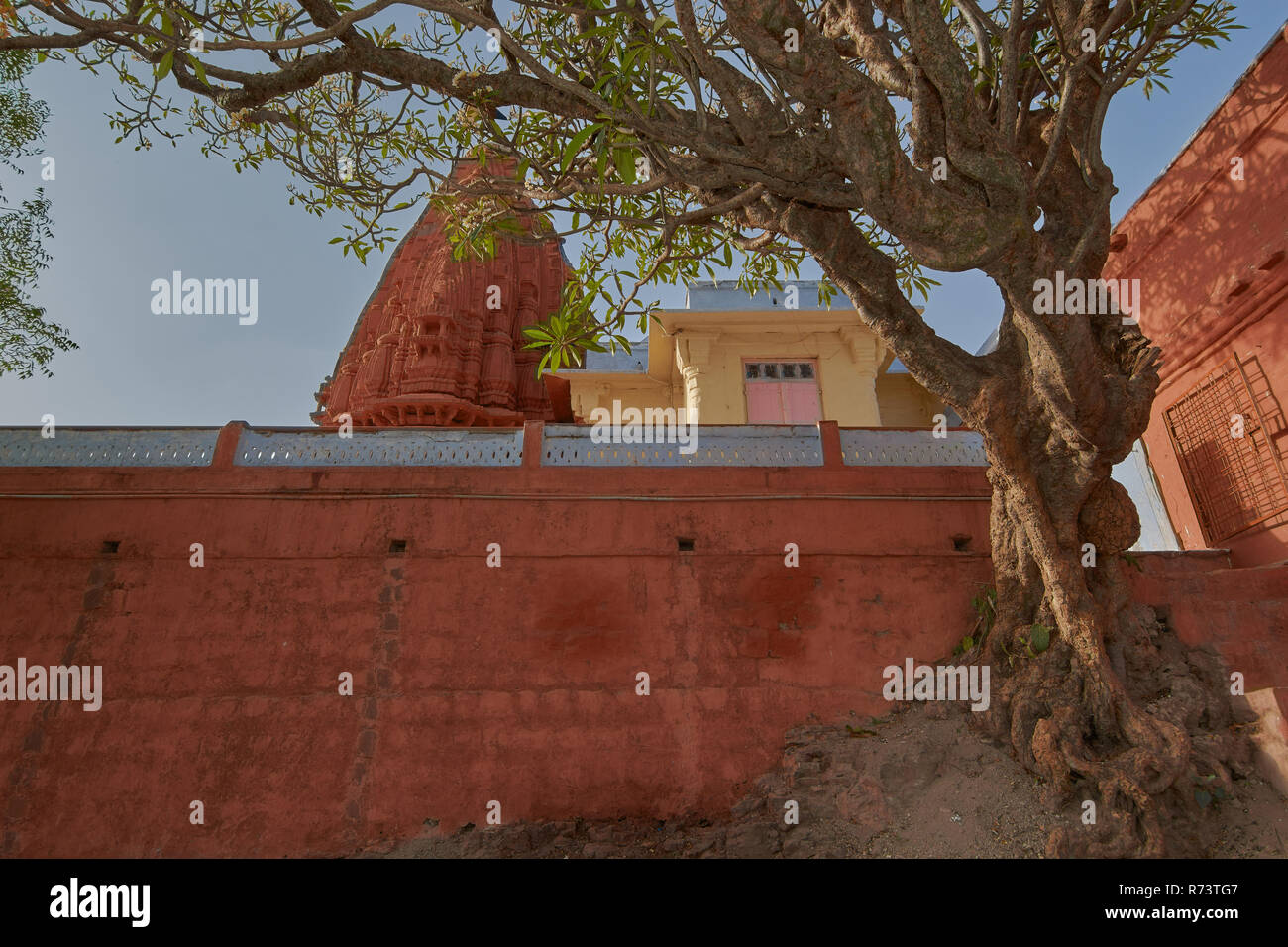 Kalika mata hi-res stock photography and images - Alamy