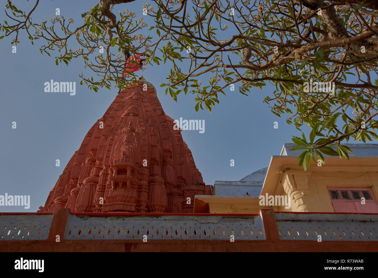 Kalika mata hi-res stock photography and images - Alamy