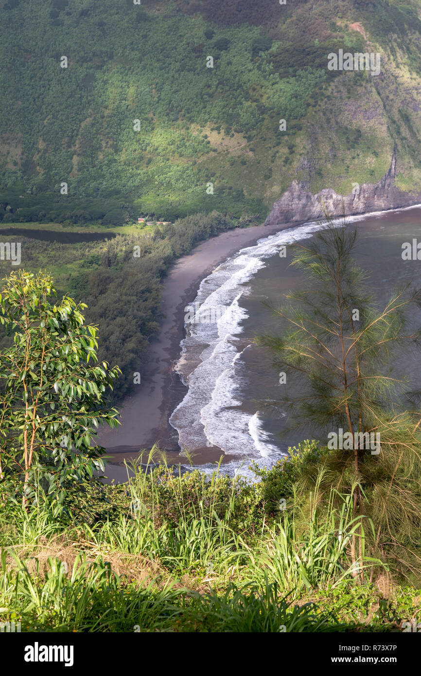 The black sand beach in Waipi'o Valley on the Big Island of Hawaii ...