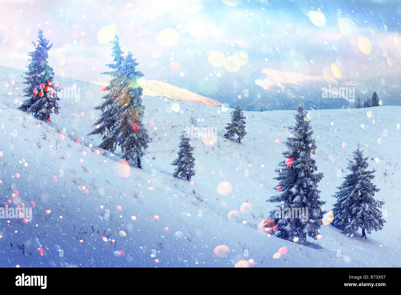 Fantastic winter landscape with snowy trees in high mountains. DOF bokeh light postprocessing ...
