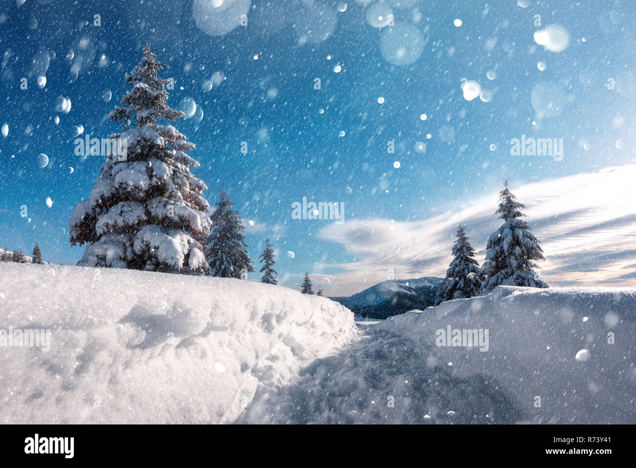 Fantastic winter landscape with snowy trees in high mountains. DOF bokeh light postprocessing ...