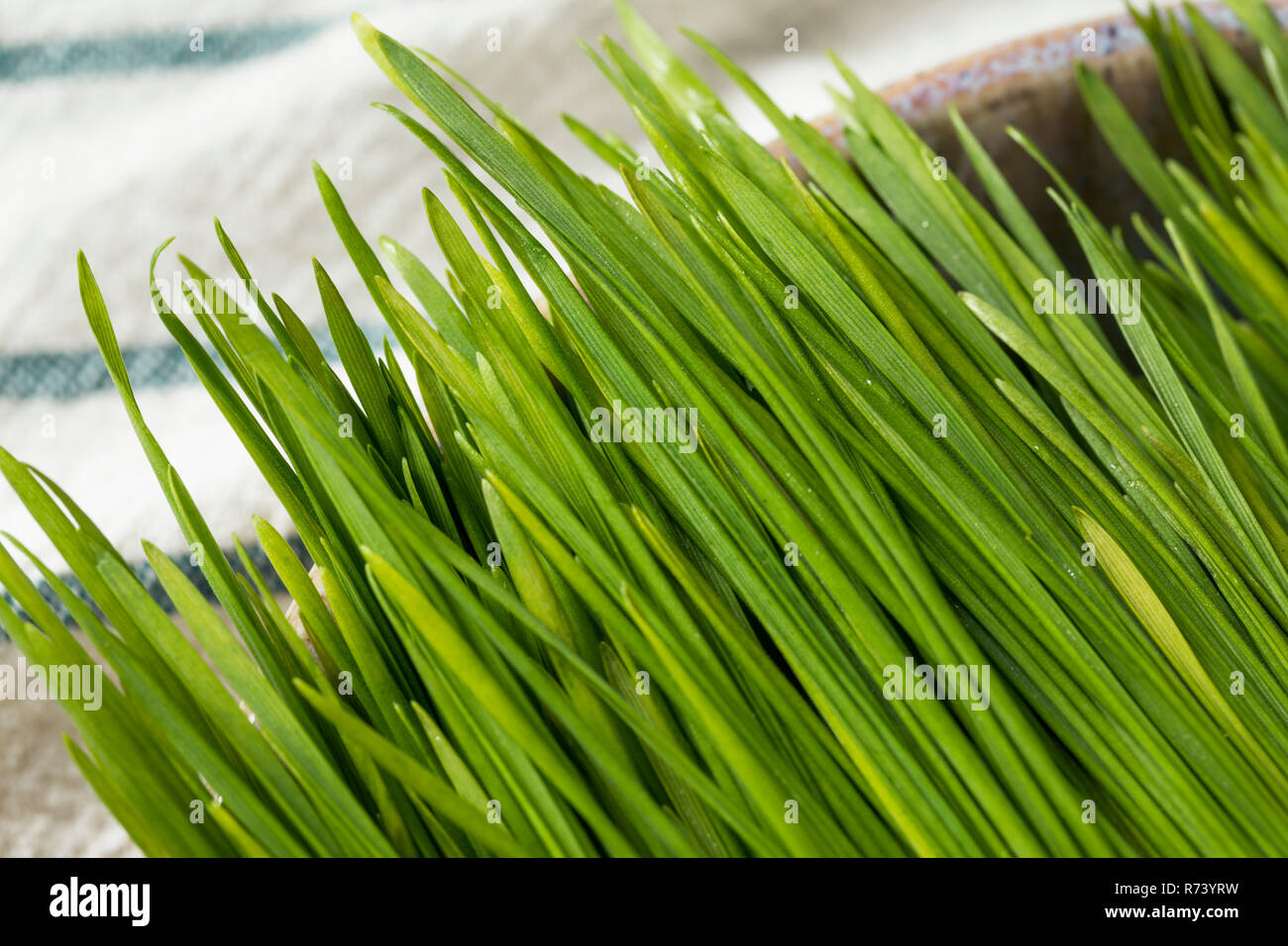 Food grass hi-res stock photography and images - Alamy