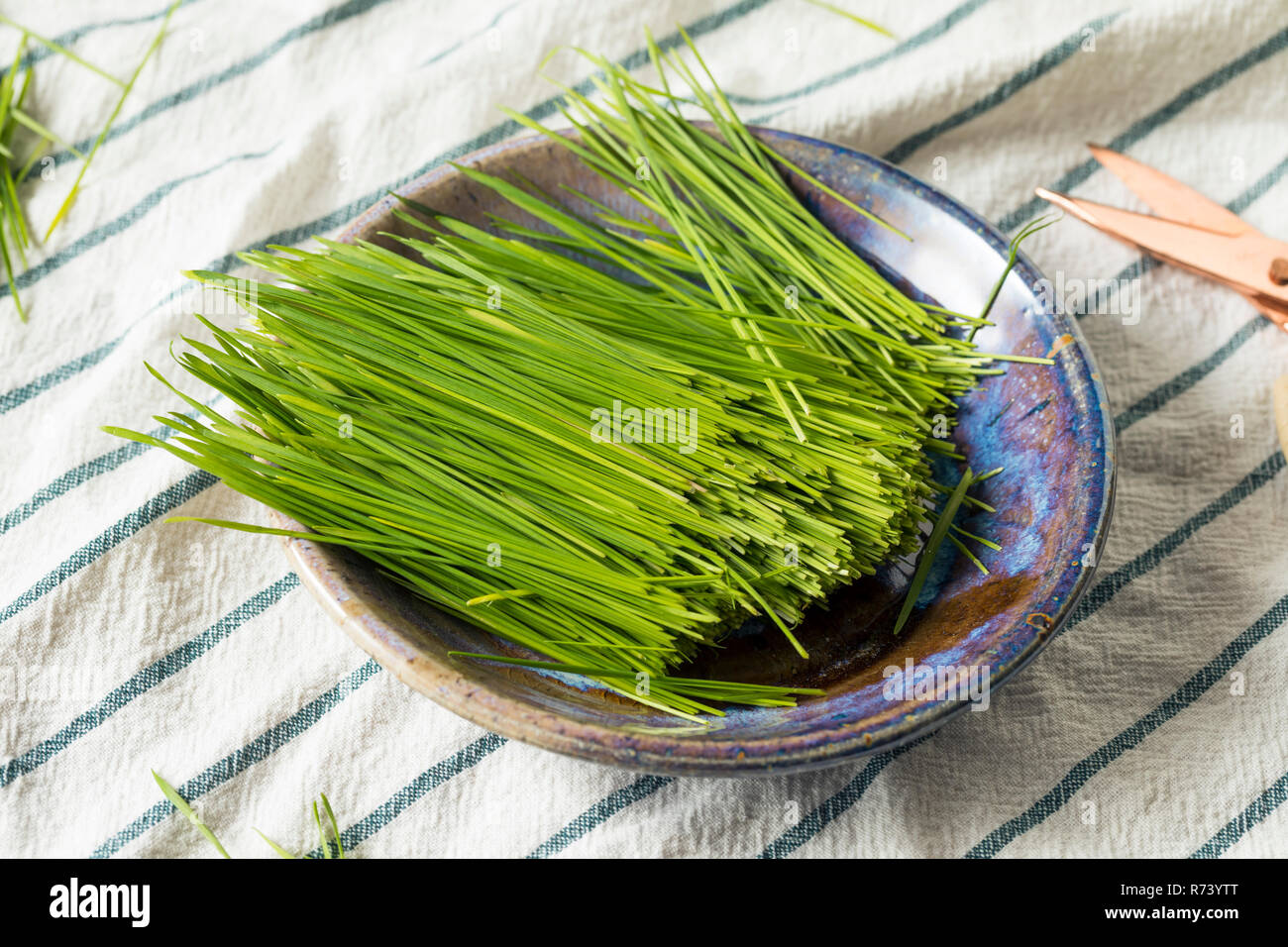 Vegetarian vegan grass hi-res stock photography and images - Alamy