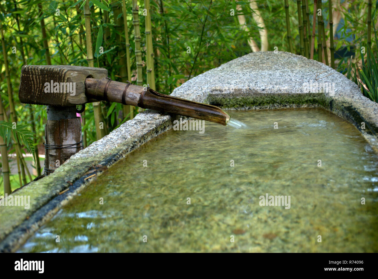 Tsukubai, a boat shaped stone water basin with a water spout with ...