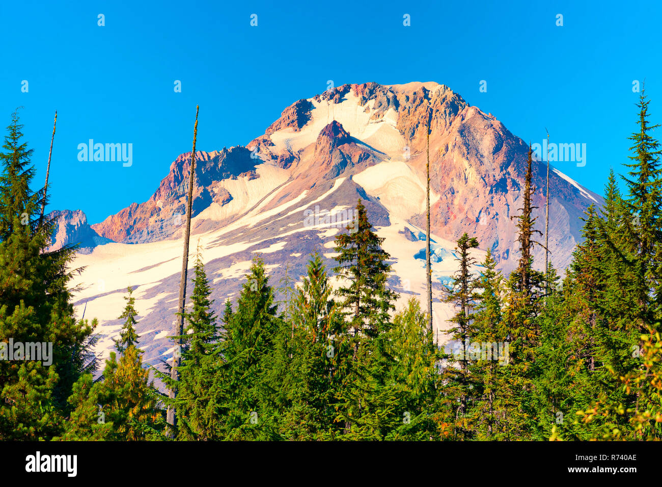 Mountain treeline trees snow hi-res stock photography and images - Alamy