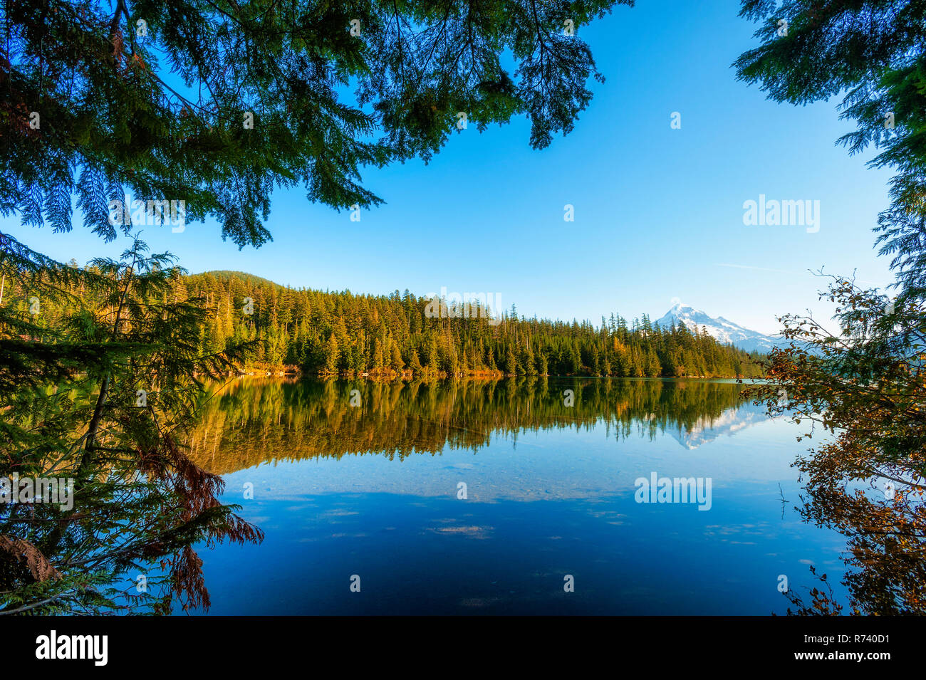 Mountain Lake in Mt. Hood National Forest in Oregon. Mt. Hood ...