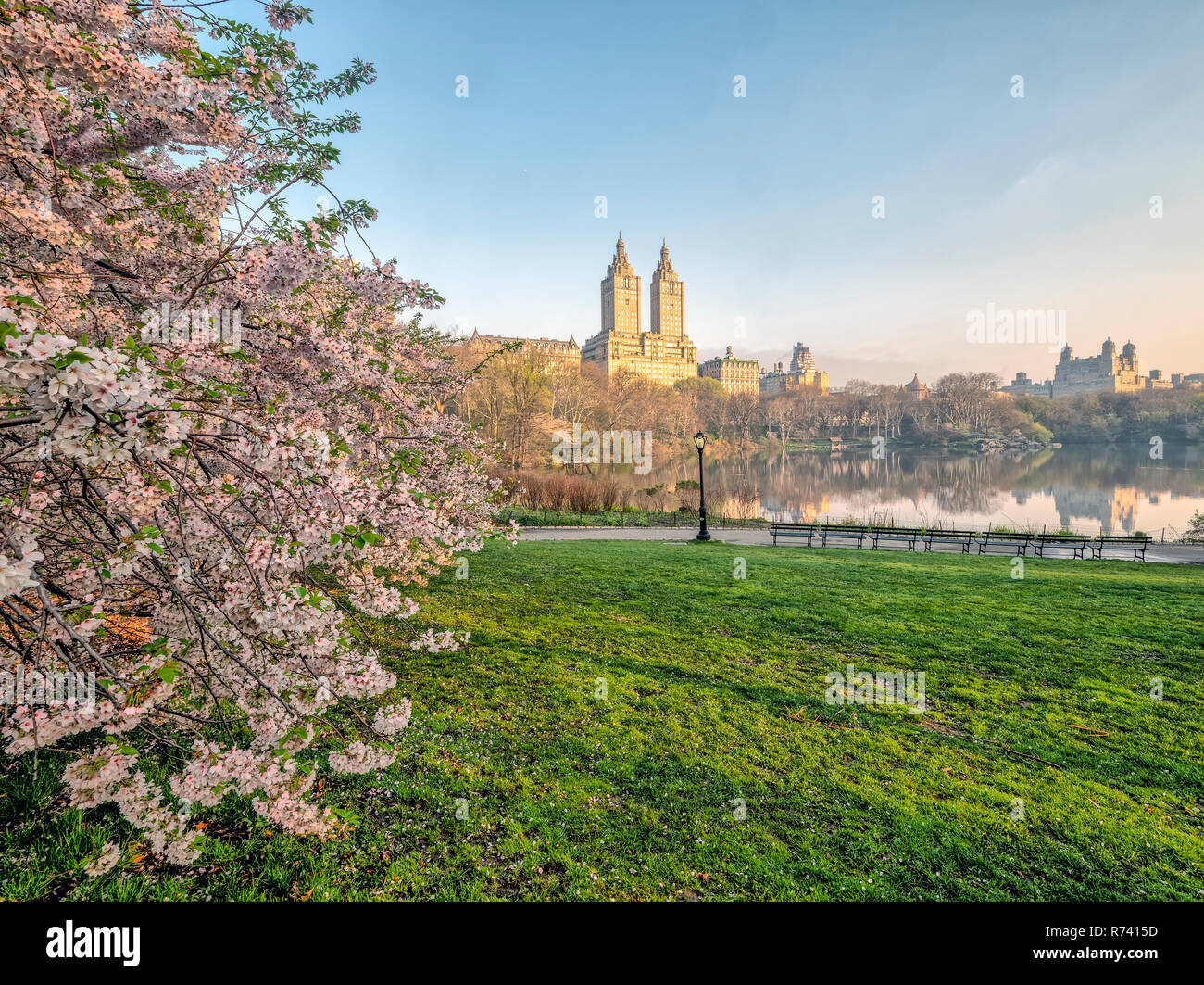 Central Park, Manhattan, New York City in spring Stock Photo - Alamy