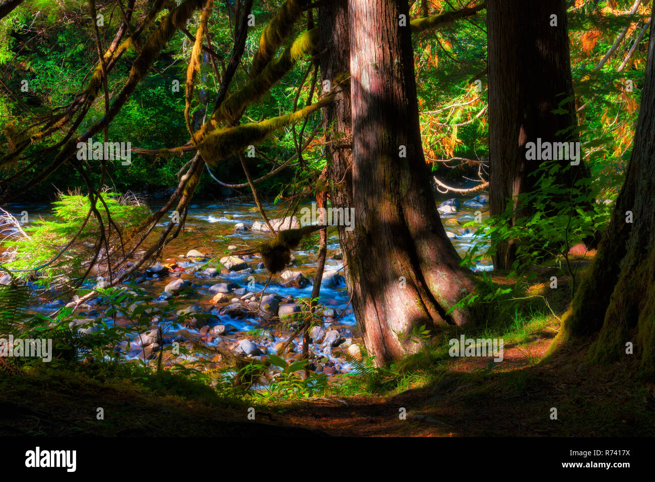 Rest areas hi-res stock photography and images - Alamy