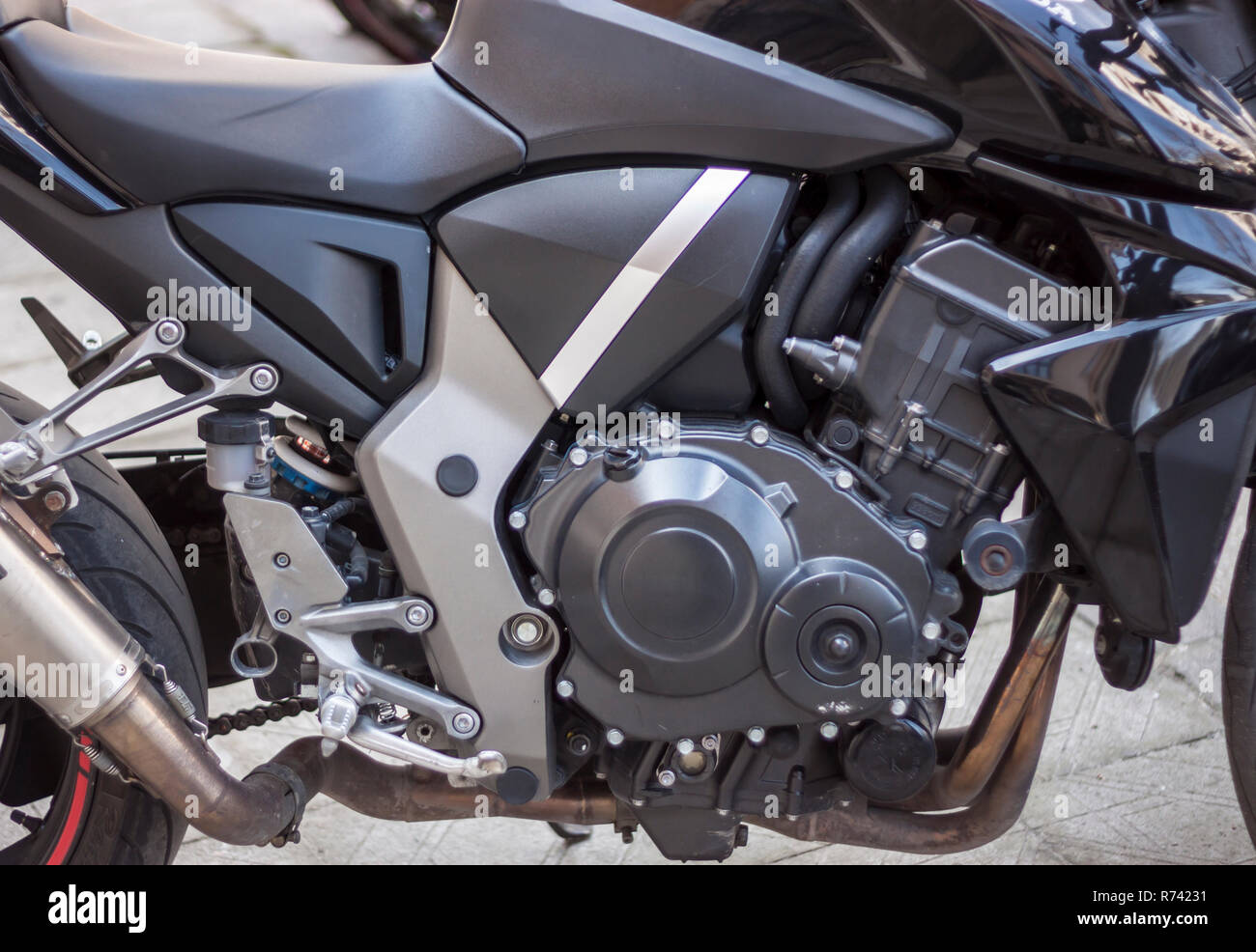 Tank mate hi-res stock photography and images - Alamy