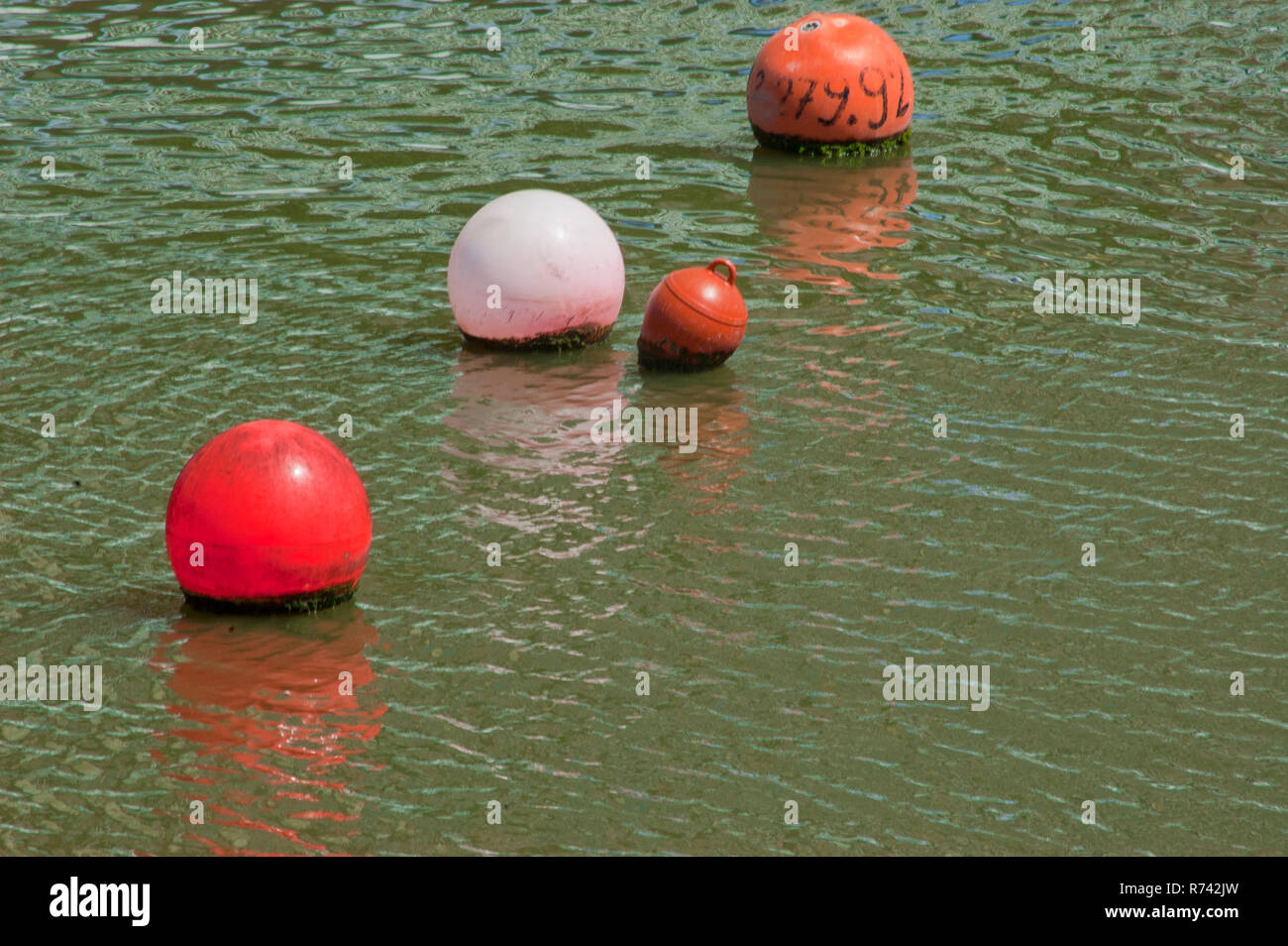 Four buoys floating in the water in the marina, Valencia, Spain Stock ...