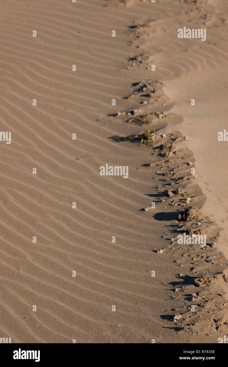 Sand with ripples and pebbles on the beach Stock Photo - Alamy