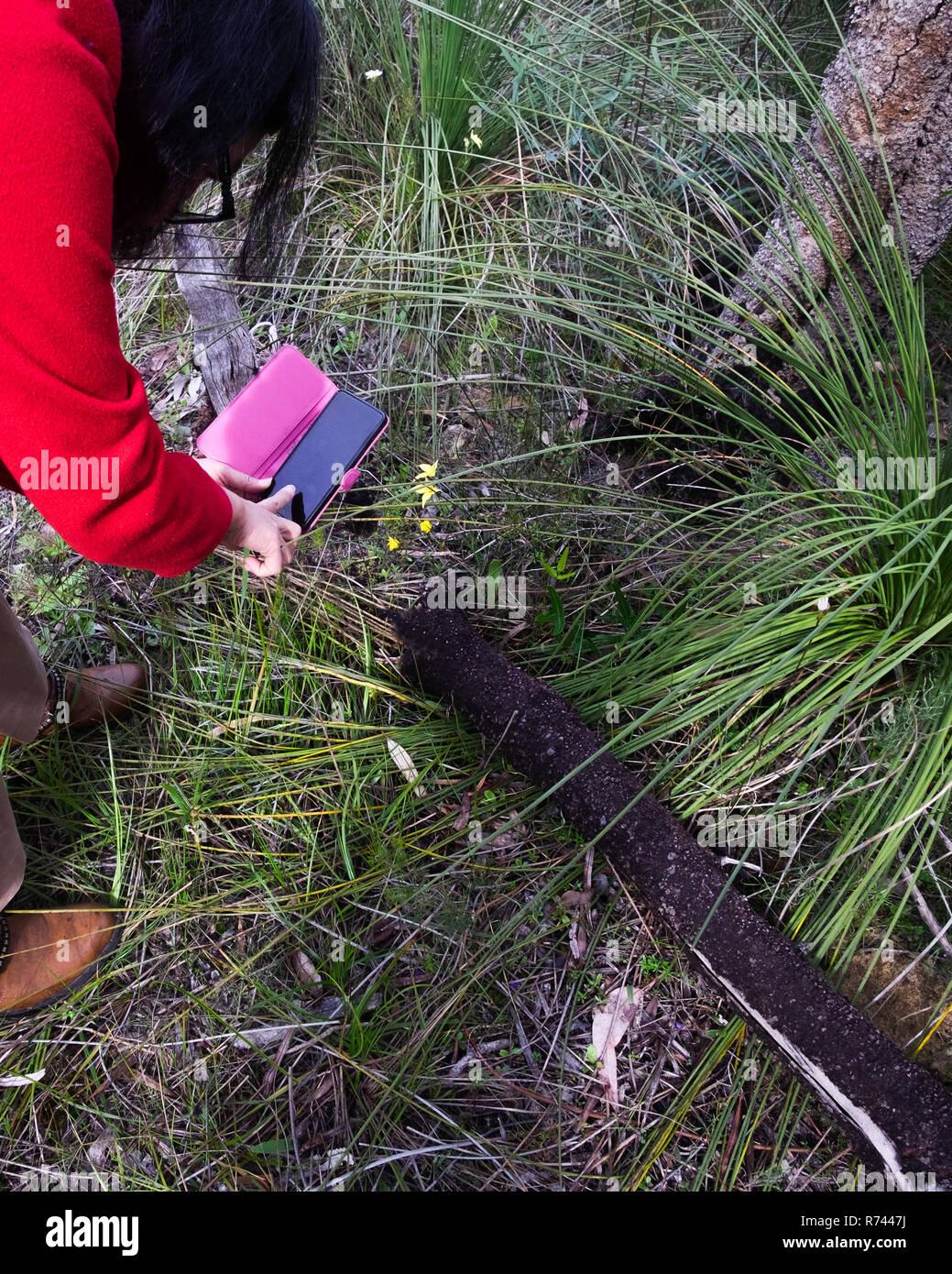 Marangaroo conservation reserve hi-res stock photography and images - Alamy